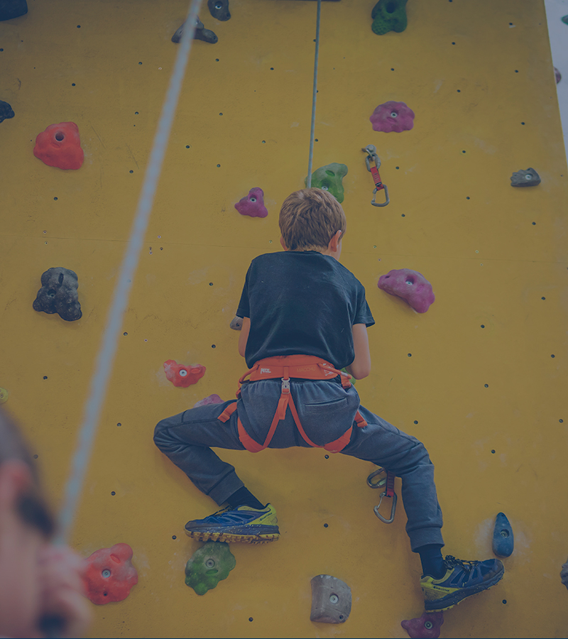Dragonfly Leisure | Gym, memberships, lessons and activities